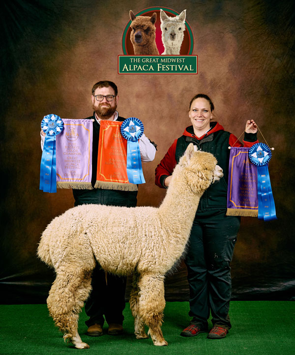 Alpaca Owners Association, Inc. AlpacaGram 11.10 | Online Herdsire ...