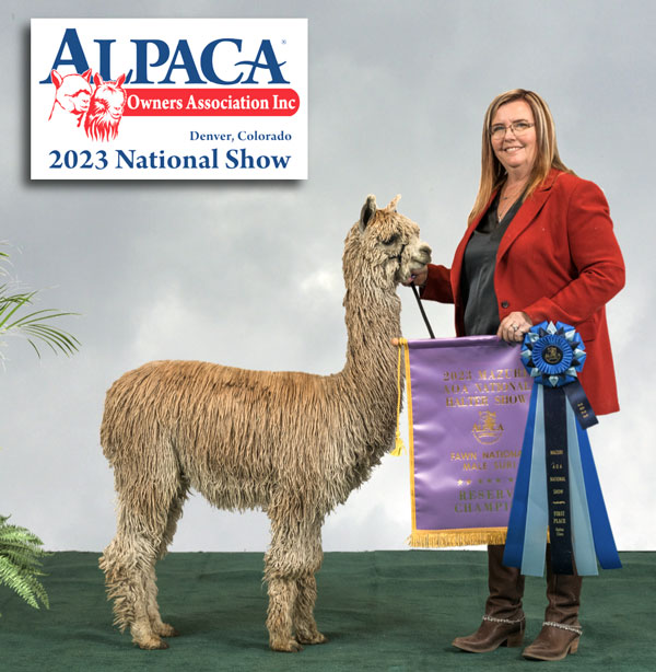 Alpaca Owners Association, Inc. AlpacaGram 11.10 | Online Herdsire ...